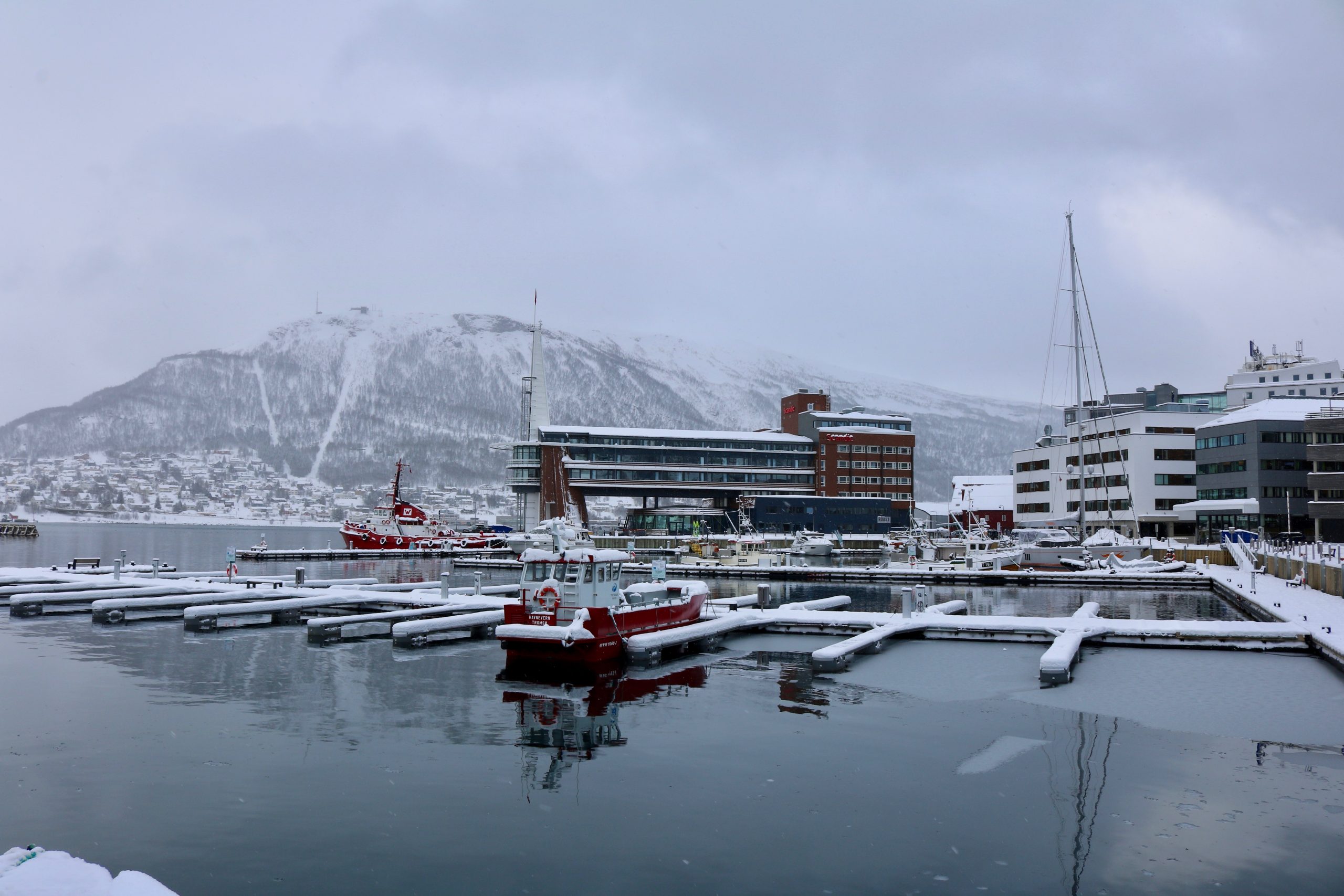 Tromsø City Center Guide | Storgata Street & Harbor Walk