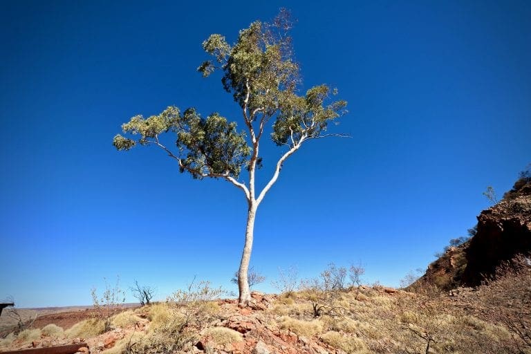 Touring the West MacDonnell Ranges from Alice Springs