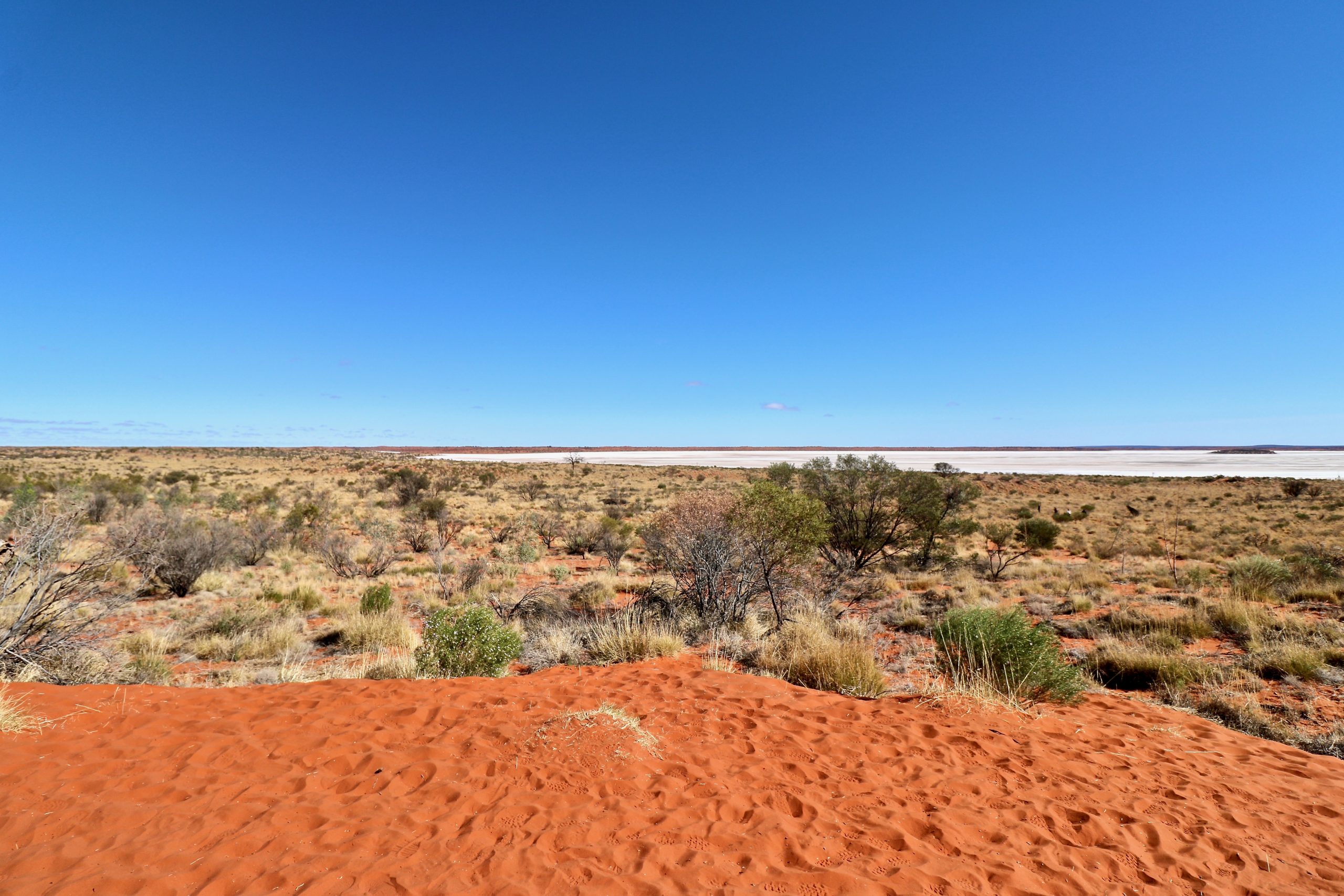 Uluru and Kata Tjuta - A Day Tour from Alice Springs with Emu Run