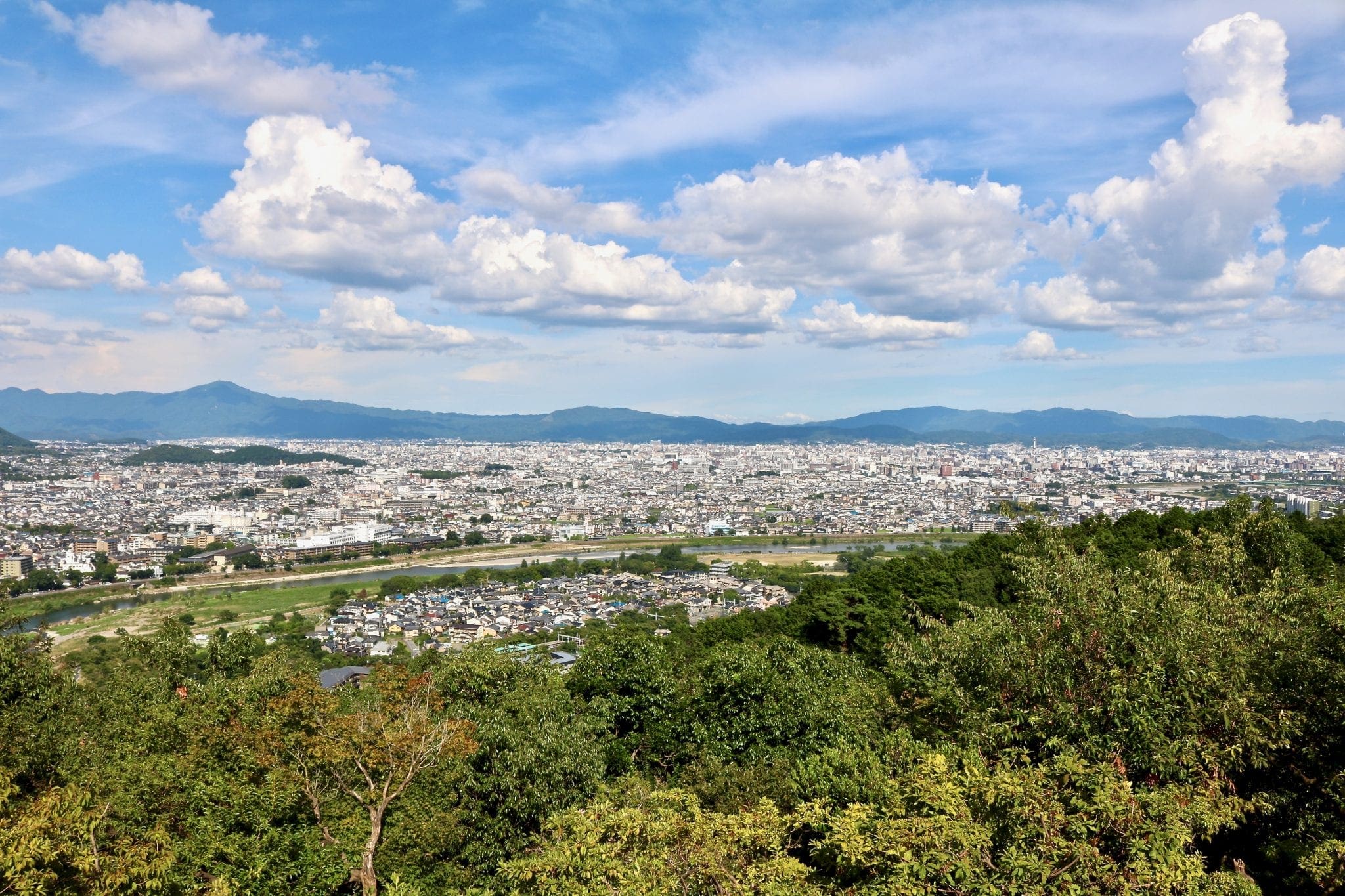 Monkeying Around in Kyoto: An Iwatayama Monkey Park Guide
