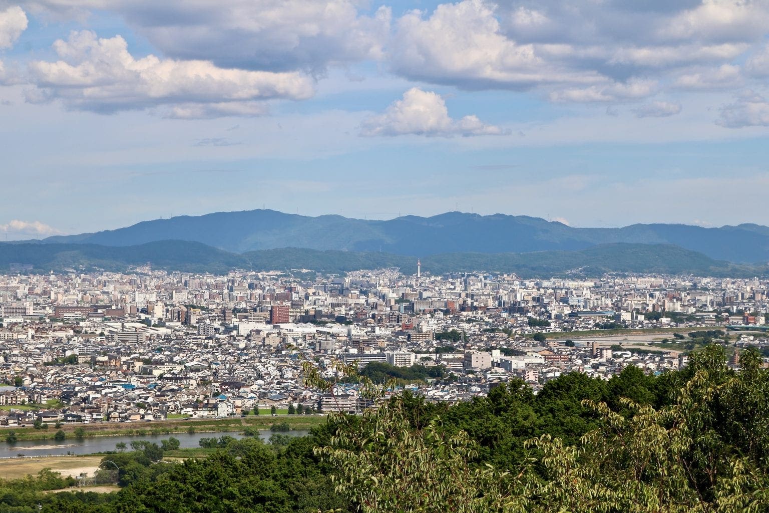 Monkeying Around in Kyoto: An Iwatayama Monkey Park Guide
