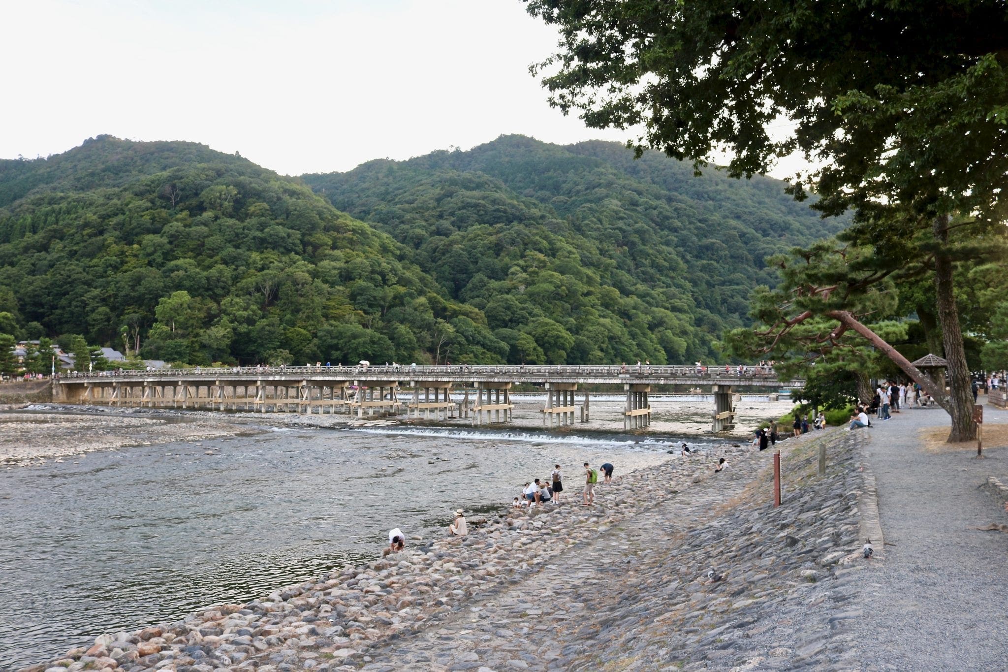 Monkeying Around in Kyoto: An Iwatayama Monkey Park Guide