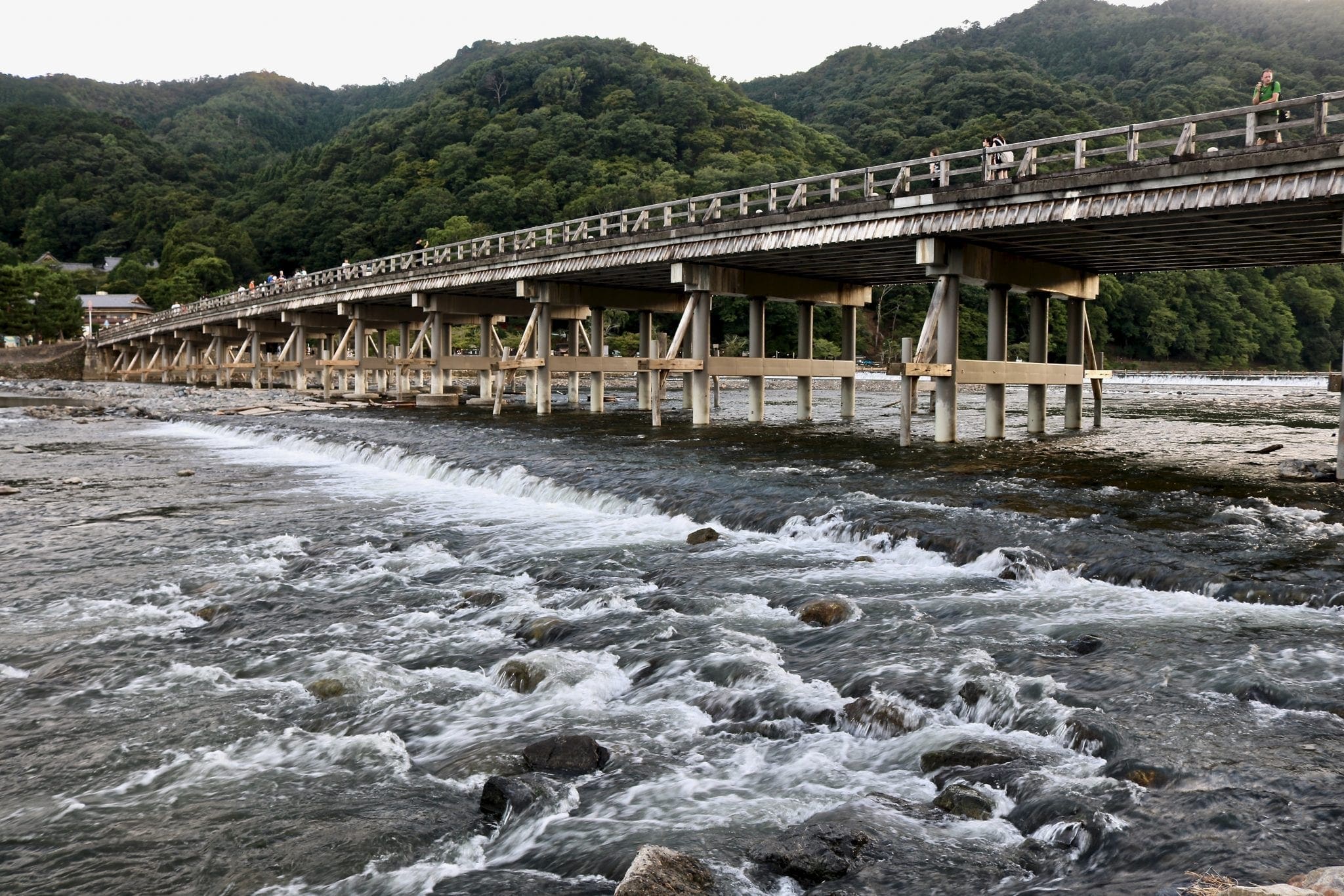 Monkeying Around in Kyoto: An Iwatayama Monkey Park Guide