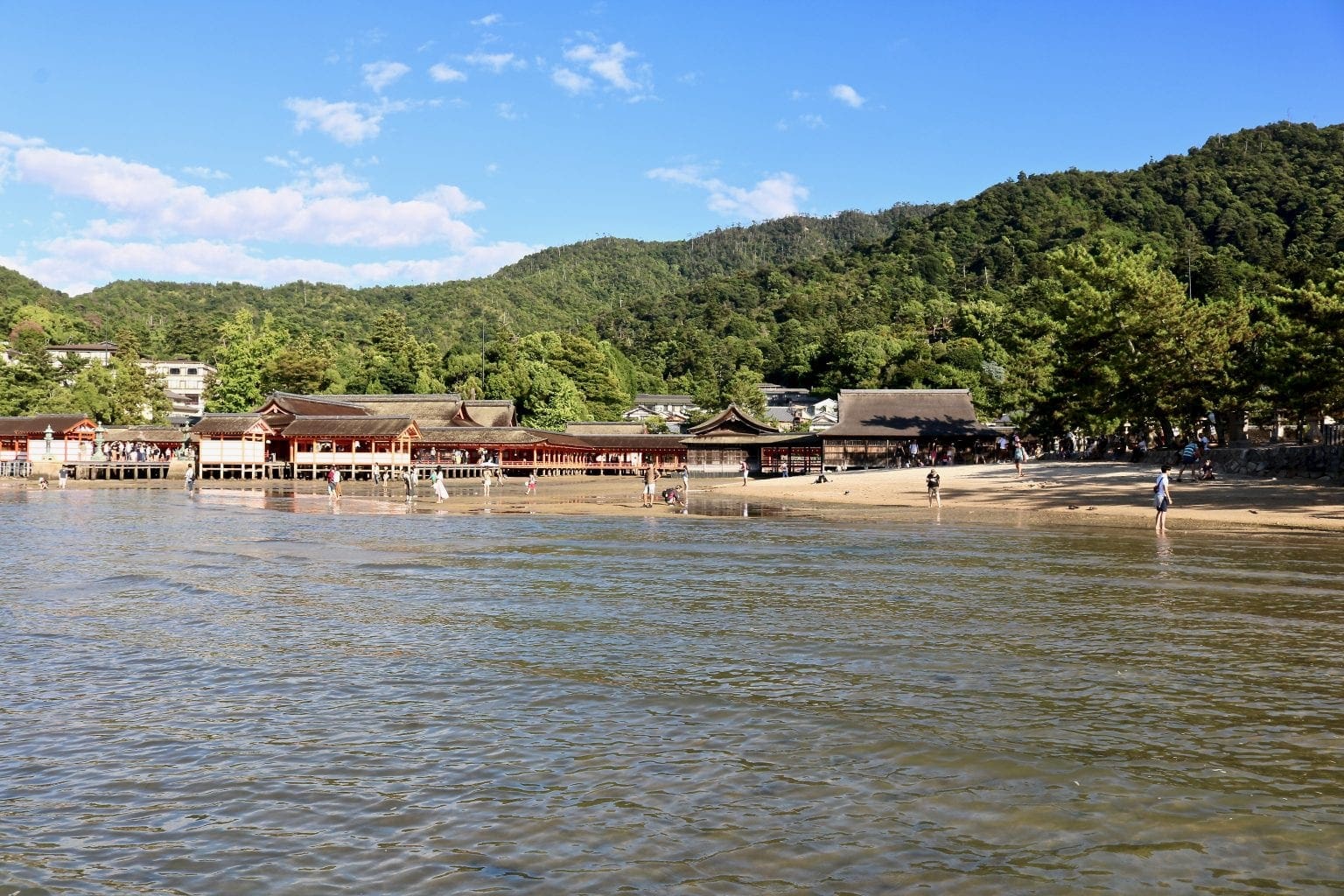 Your Guide to Miyajima Island: Ferry Options and Attractions