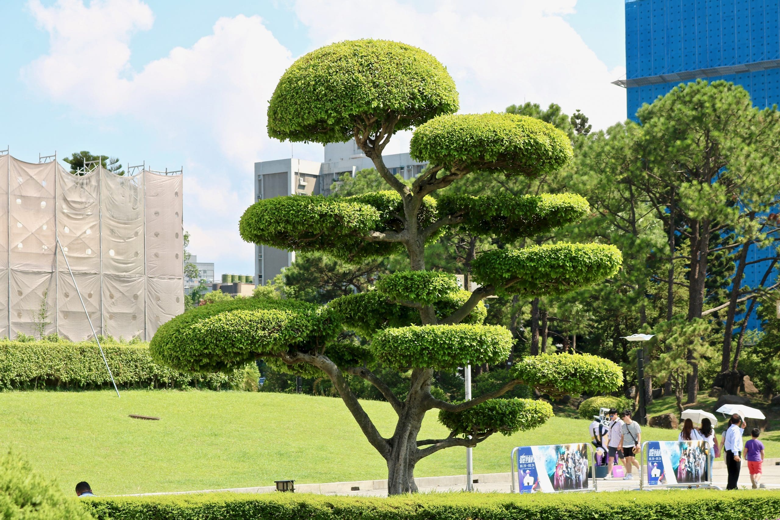 How to Visit Chiang Kai-shek Memorial Hall and Park