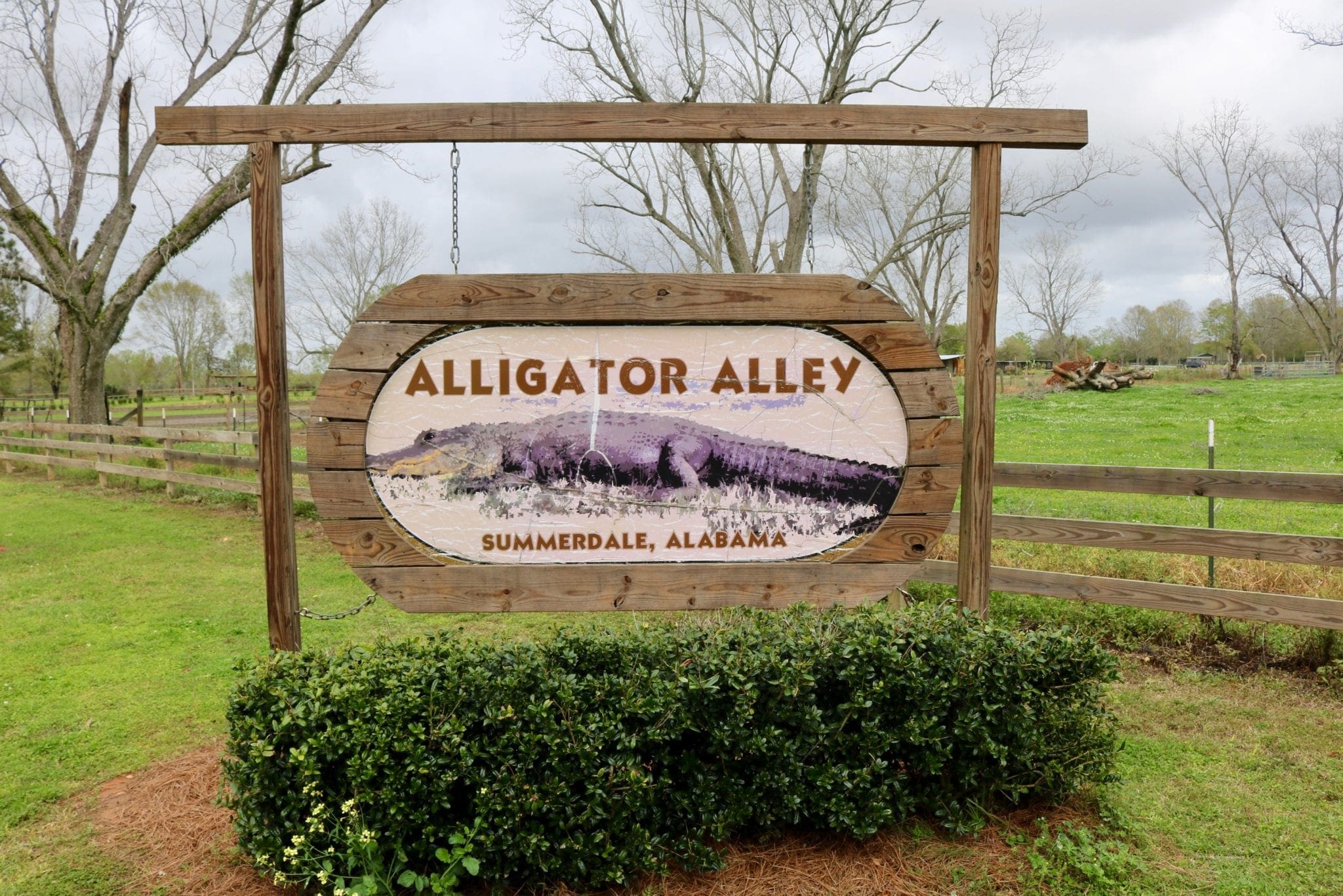 Visiting Alligator Alley - Summerdale, Alabama - See 450 Rescued Gators