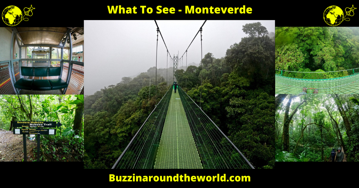 Monteverde Adventure: Explore the Cloud Forest and Beyond
