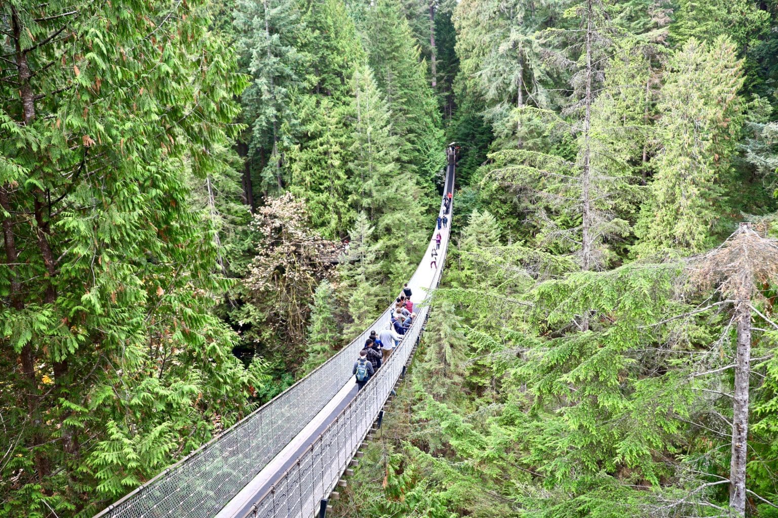 How to Visit the Capilano Suspension Bridge from Vancouver