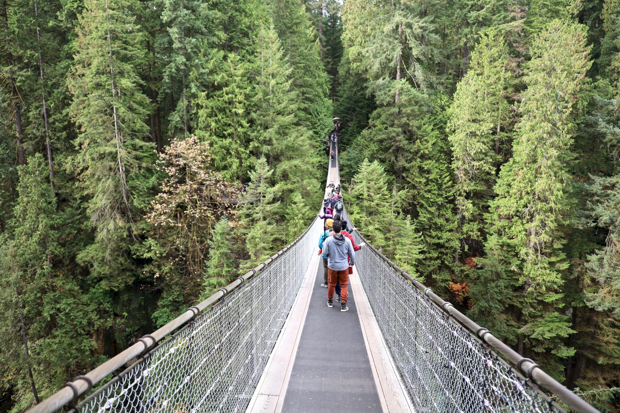 How to Visit the Capilano Suspension Bridge from Vancouver