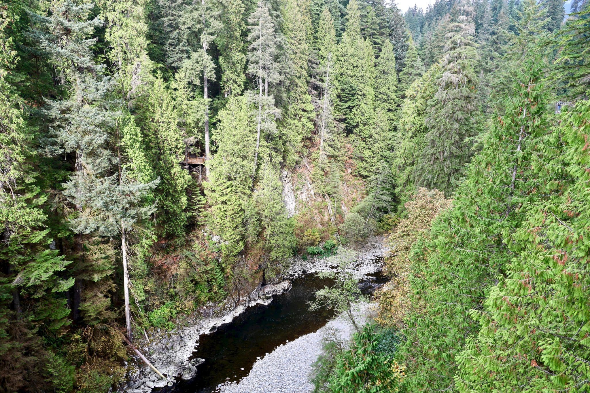 How to Visit the Capilano Suspension Bridge from Vancouver