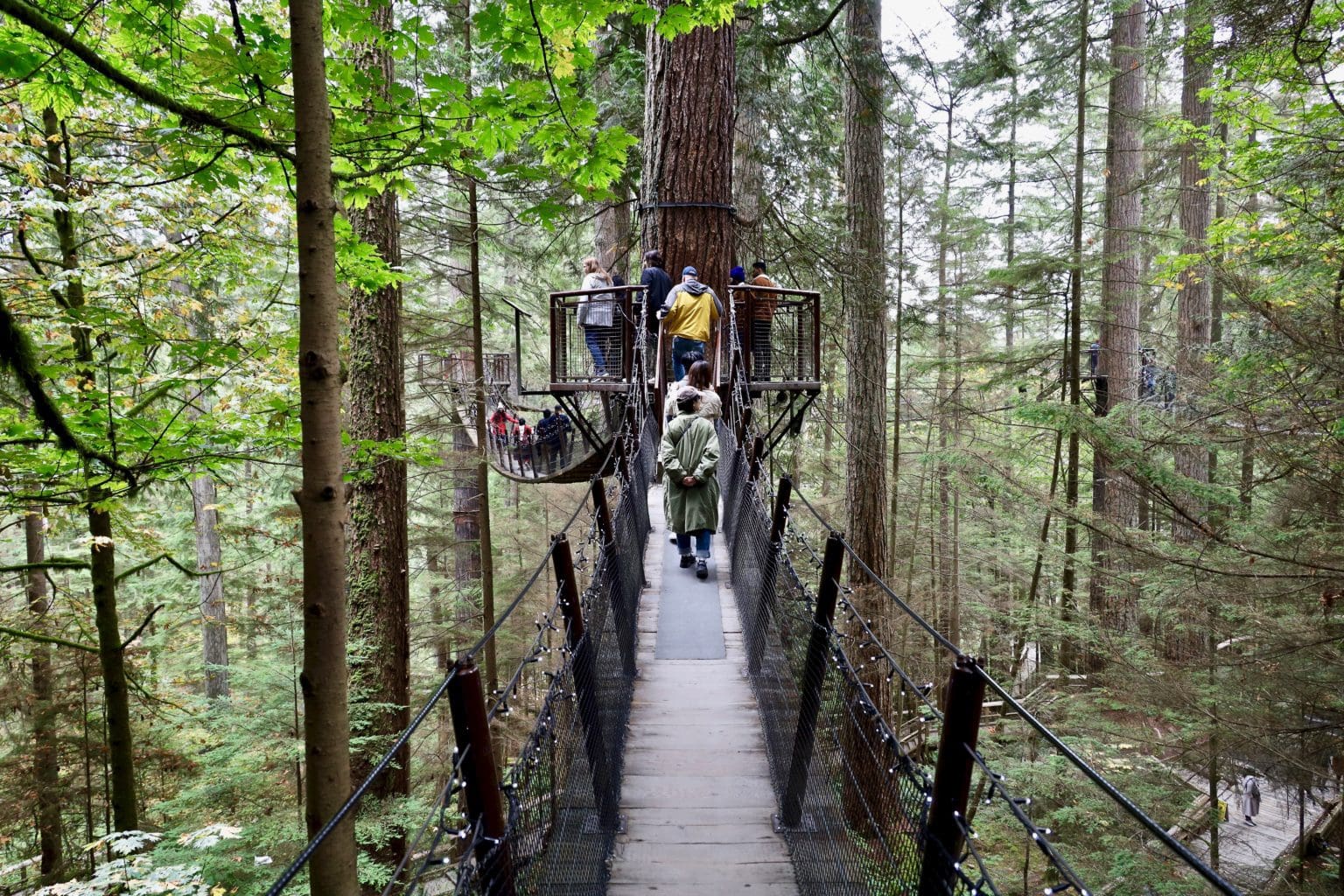 How to Visit the Capilano Suspension Bridge from Vancouver