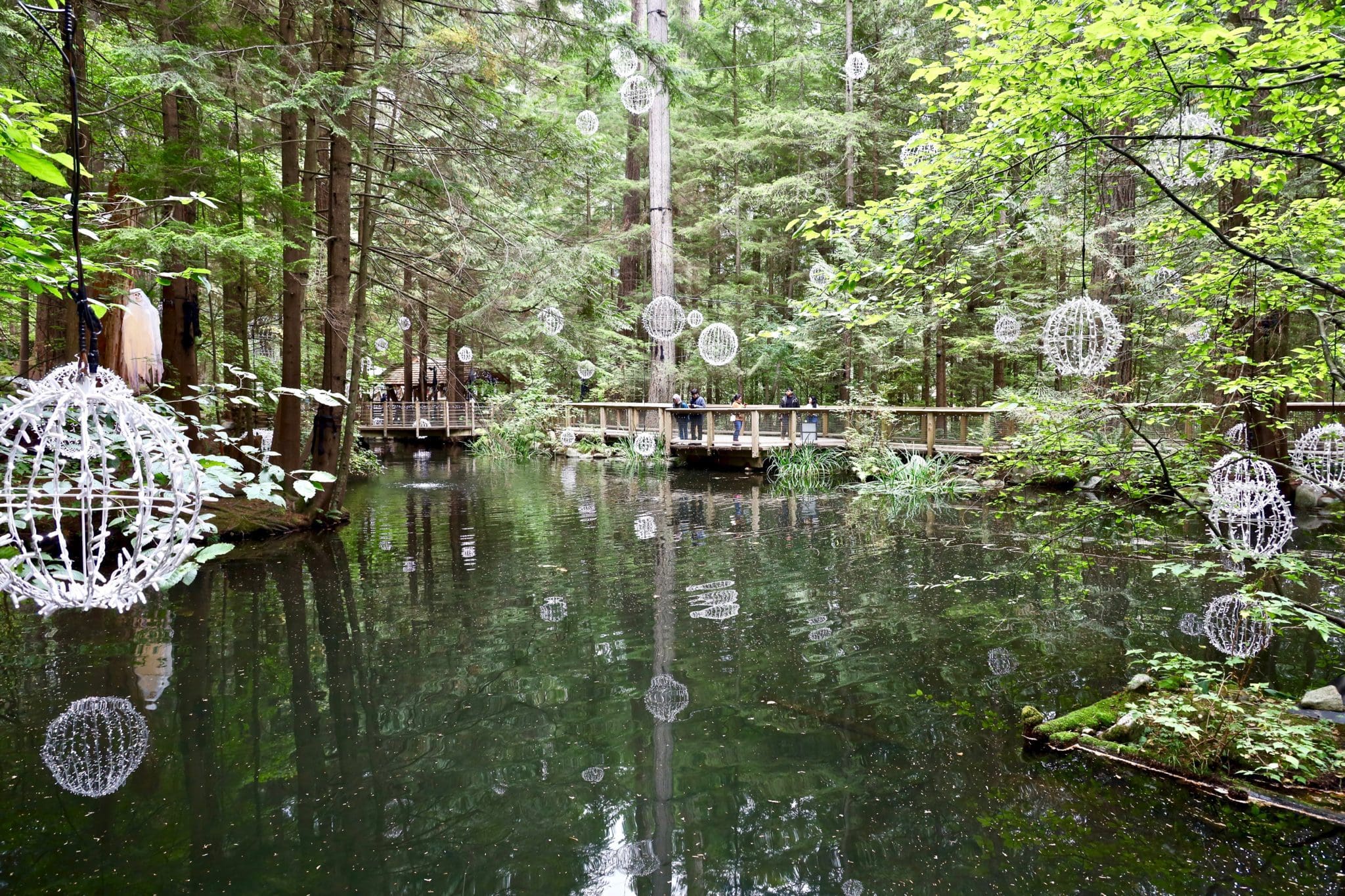 How to Visit the Capilano Suspension Bridge from Vancouver