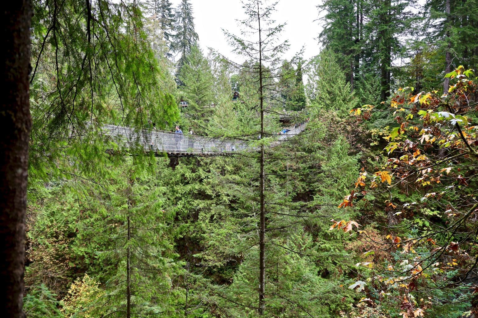How to Visit the Capilano Suspension Bridge from Vancouver