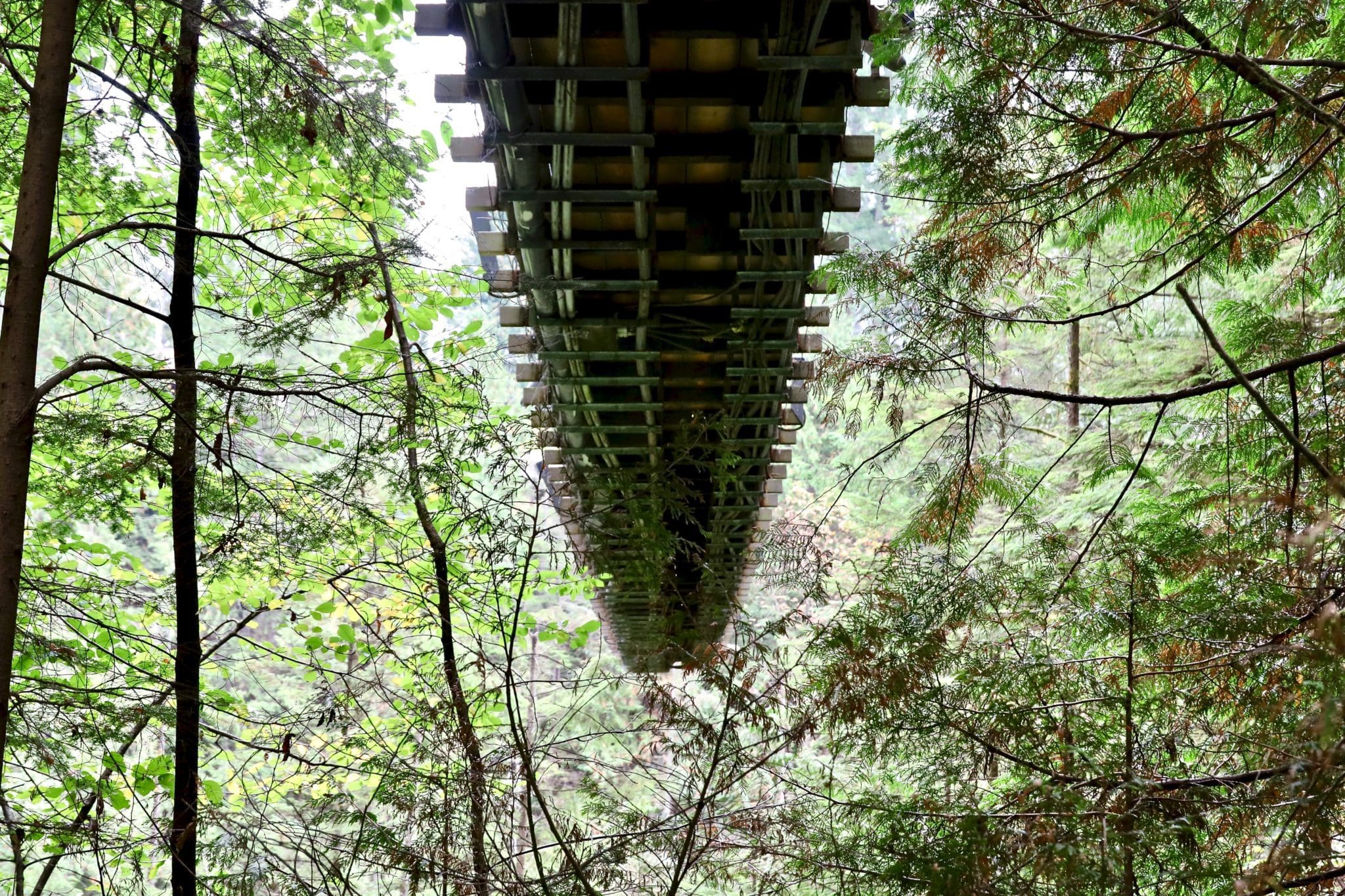 How to Visit the Capilano Suspension Bridge from Vancouver