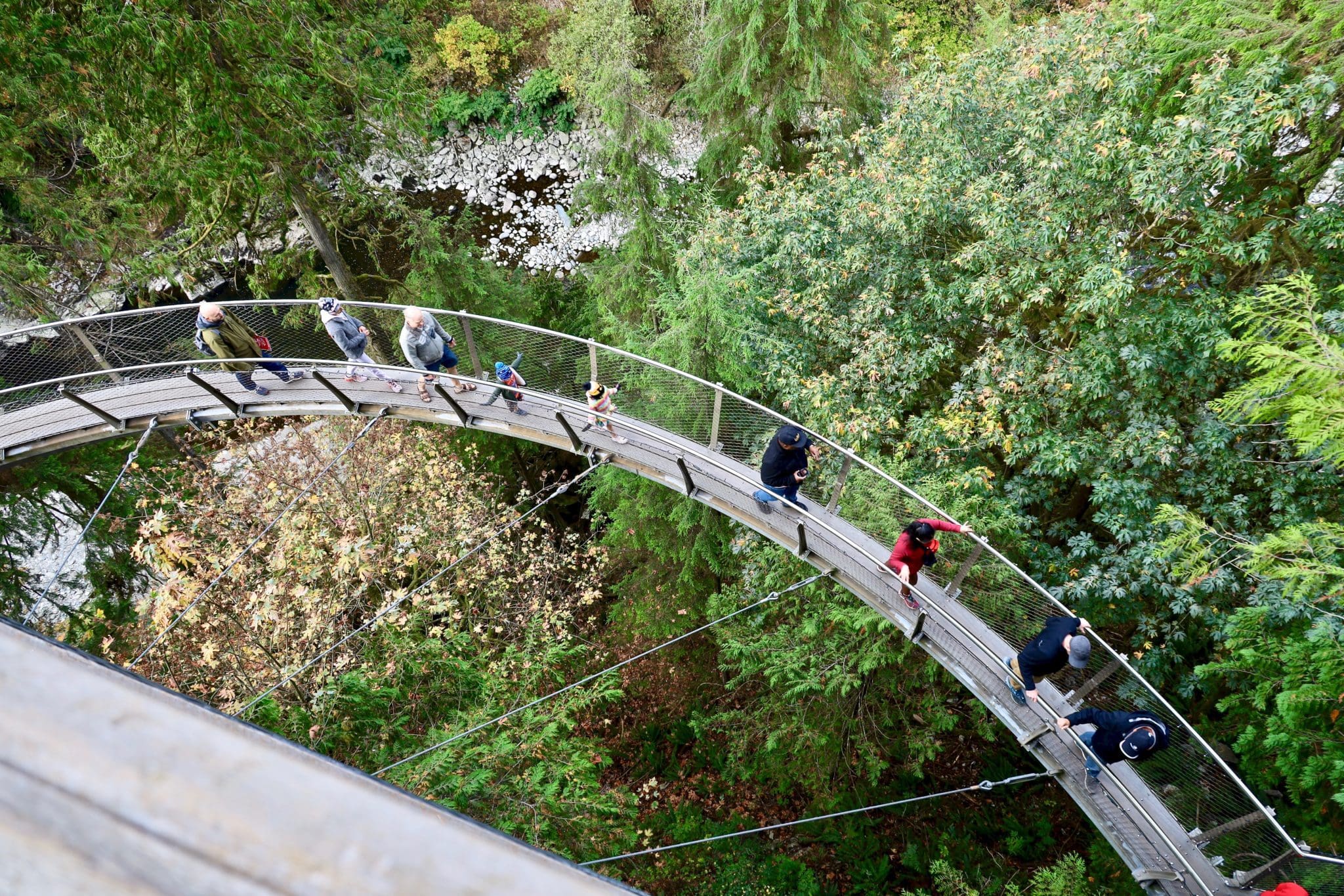 How to Visit the Capilano Suspension Bridge from Vancouver