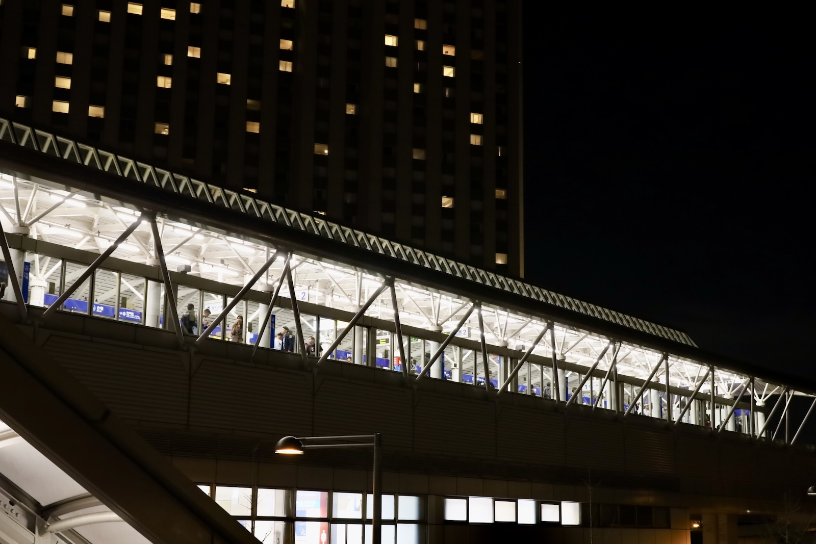 What to Do in Odaiba: Exploring Tokyo's Artificial Island